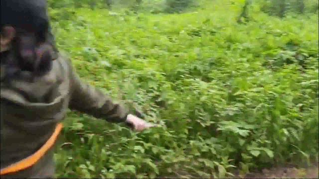 PS "Партизанские тропы 2"