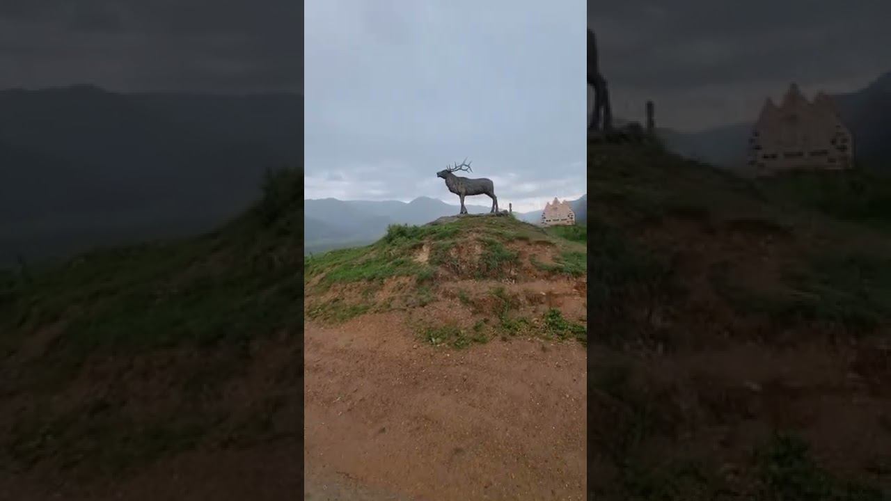 PromoОтпуск - 800 км за 1 день