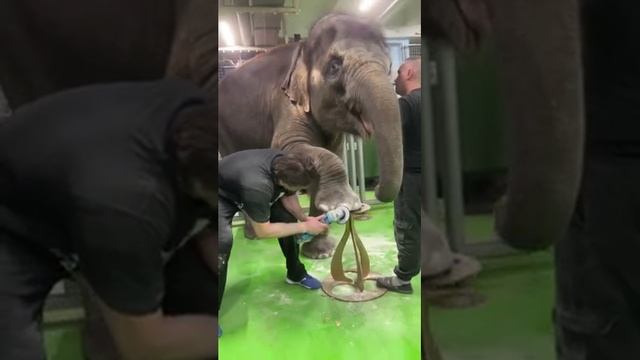 Ноготочки мне запили.