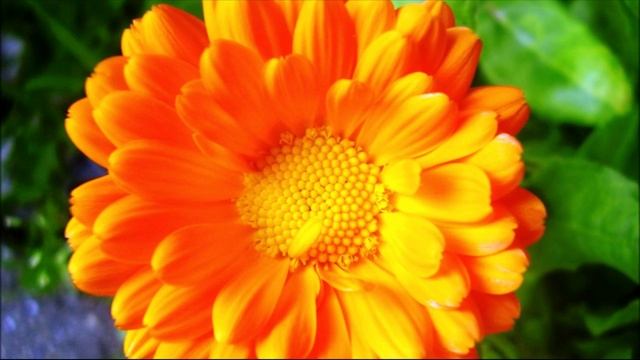 Музыка для снятия стресса-2. И.С.Бах.