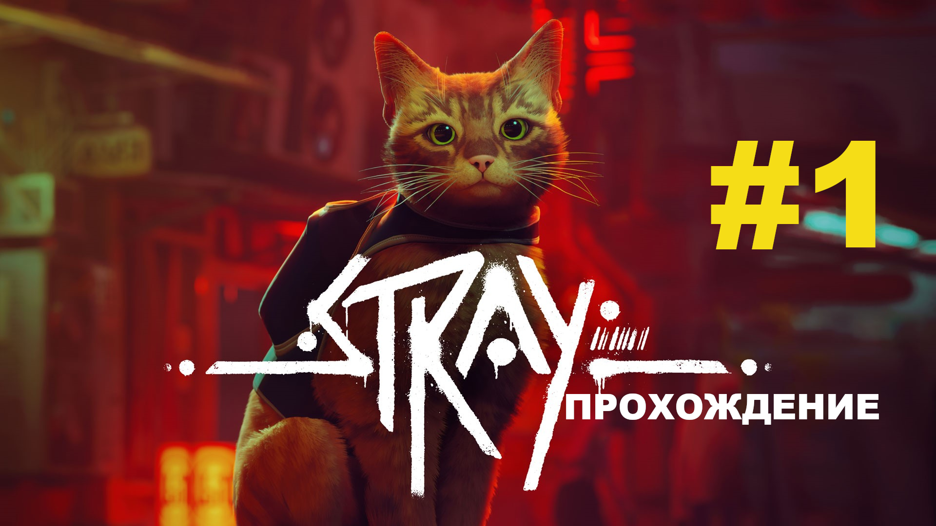 Stray | Начало | Мертвый город | Прохождение #1