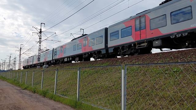 Невероятное видео! Сдвоенная Ласточка пролетает мимо оператора и летит в Санкт-Петербург