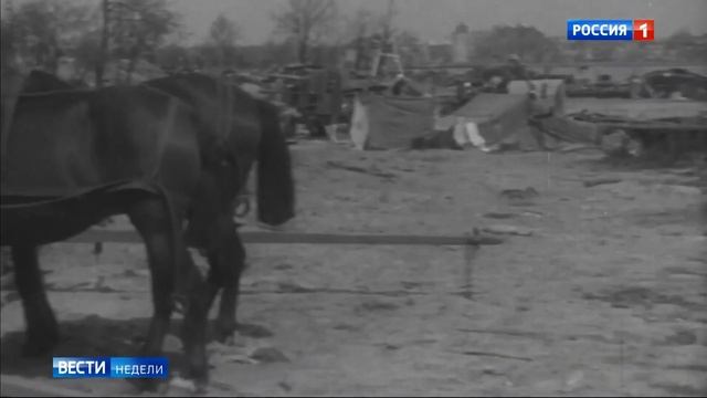 Верблюды в Великую Отечественную войну