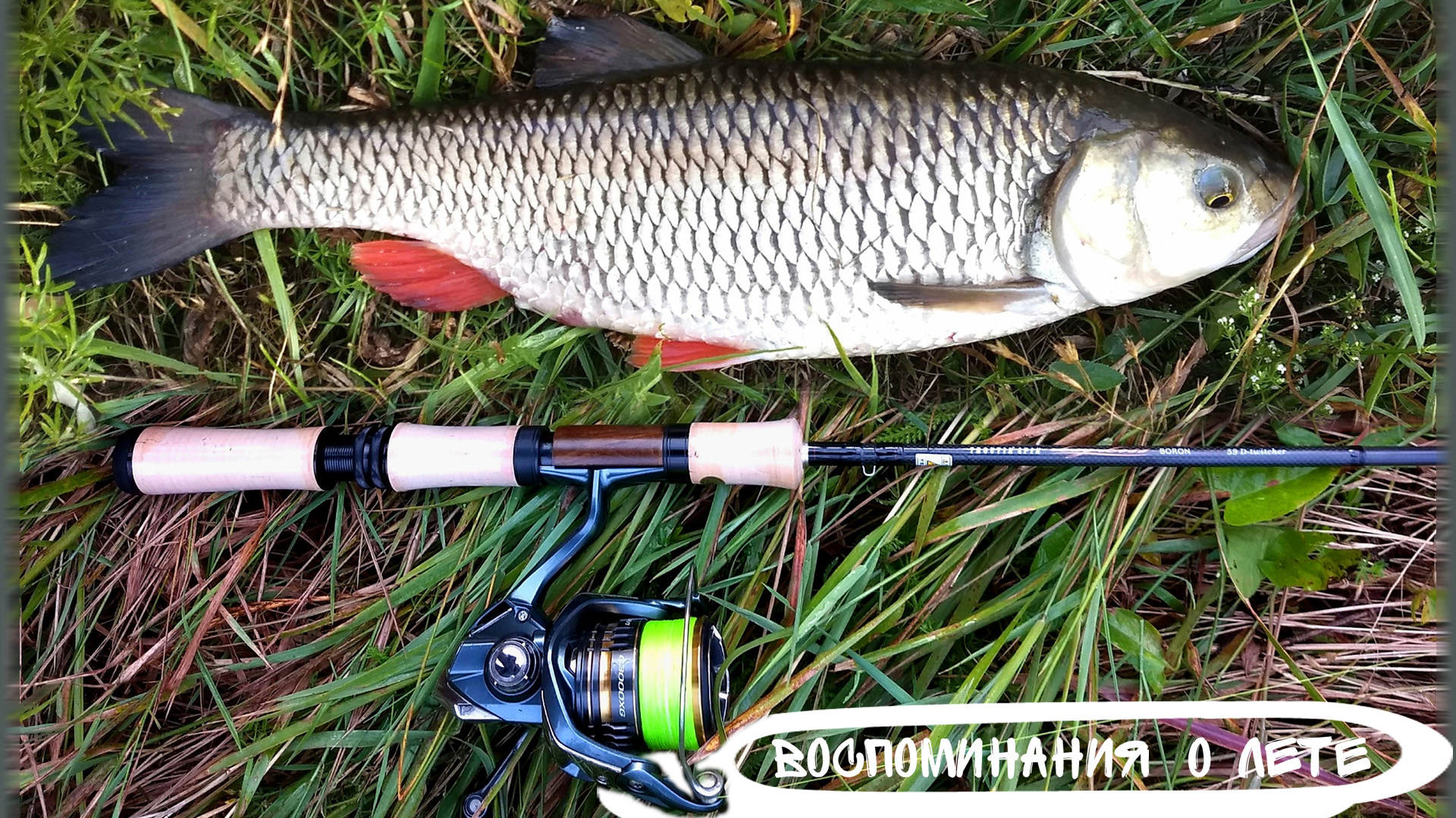 Обзор Smith Troutin' Spin Lag less Boron TLB-59DT на голавлёвой рыбалке.