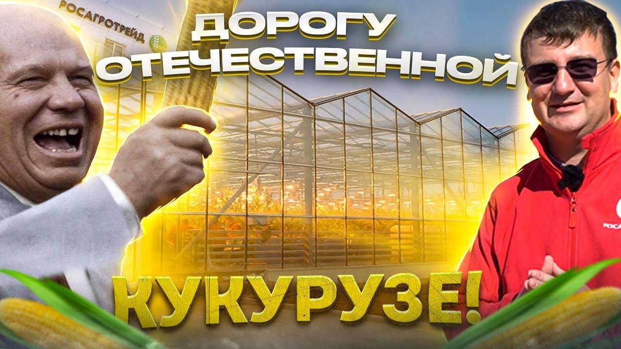 РОСАГРОТРЕЙД. Отечественные семена кукурузы. Что мы потеряли за 30 лет? Выращивание кукурузы.