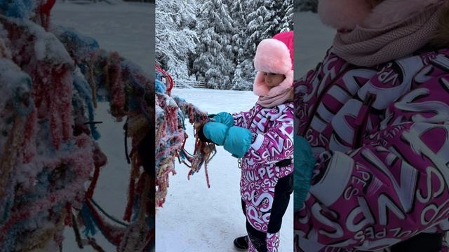 Лесная избушка