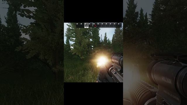 Escape From Tarkov [Попался кустарник новичек]#shorts#Tarkov