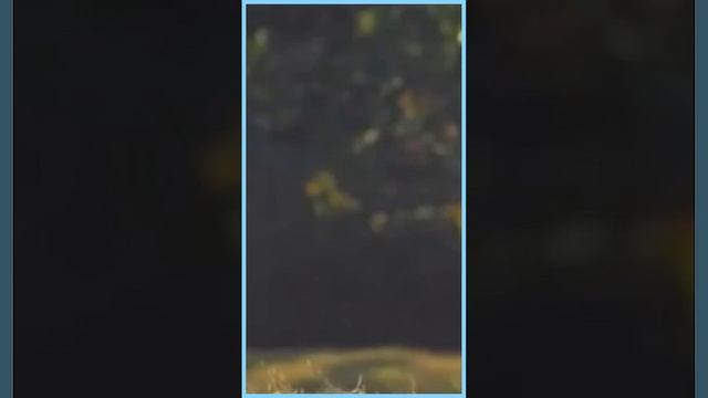 Осознанные сновидения, выход из тела - и энергия Кундалини! Часть 6