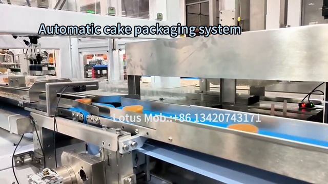 Автоматизированная система упаковки тортов повышает производительность