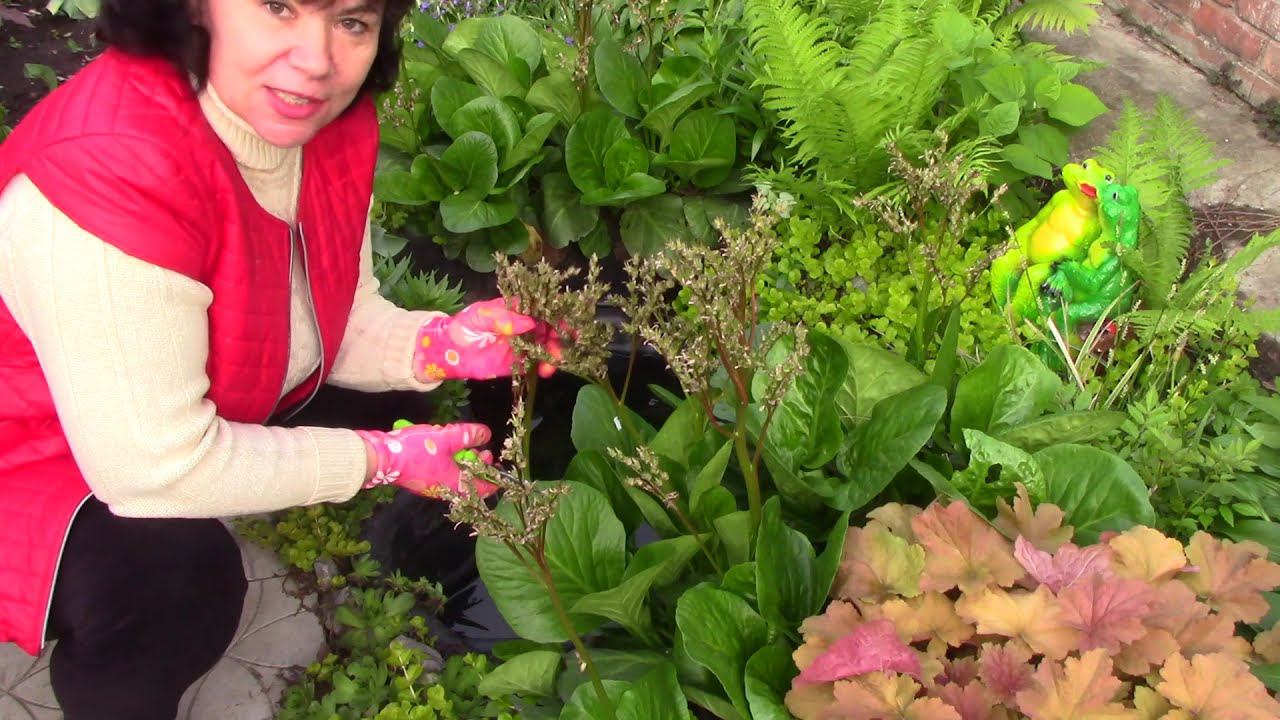 Майские хлопоты в саду.