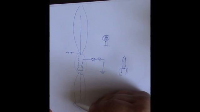 Долгоиграющее скалярное магнитное поле бифа (жестокоопасное)