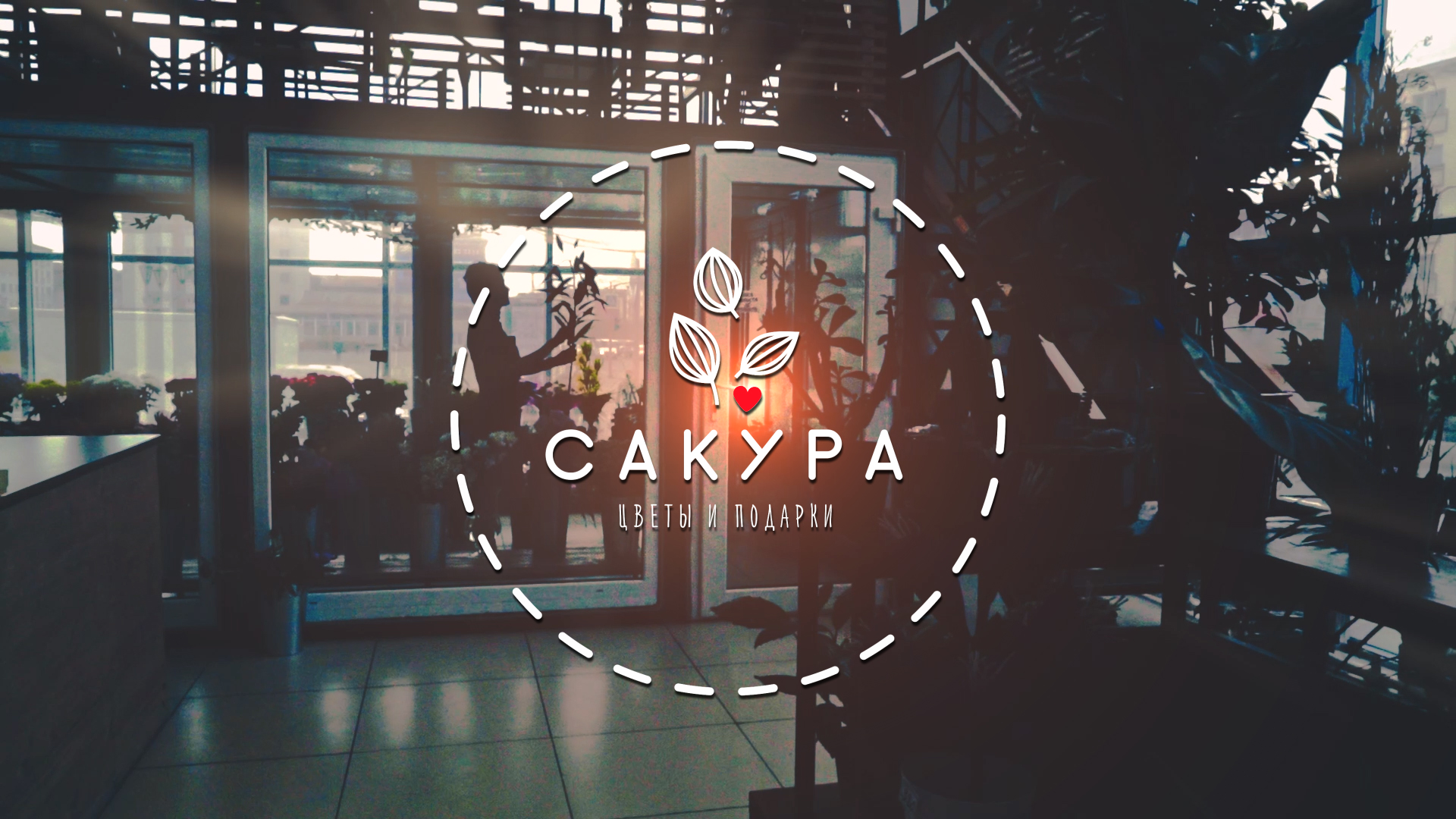 Sakura - Оазис в сердце вечной мерзлоты