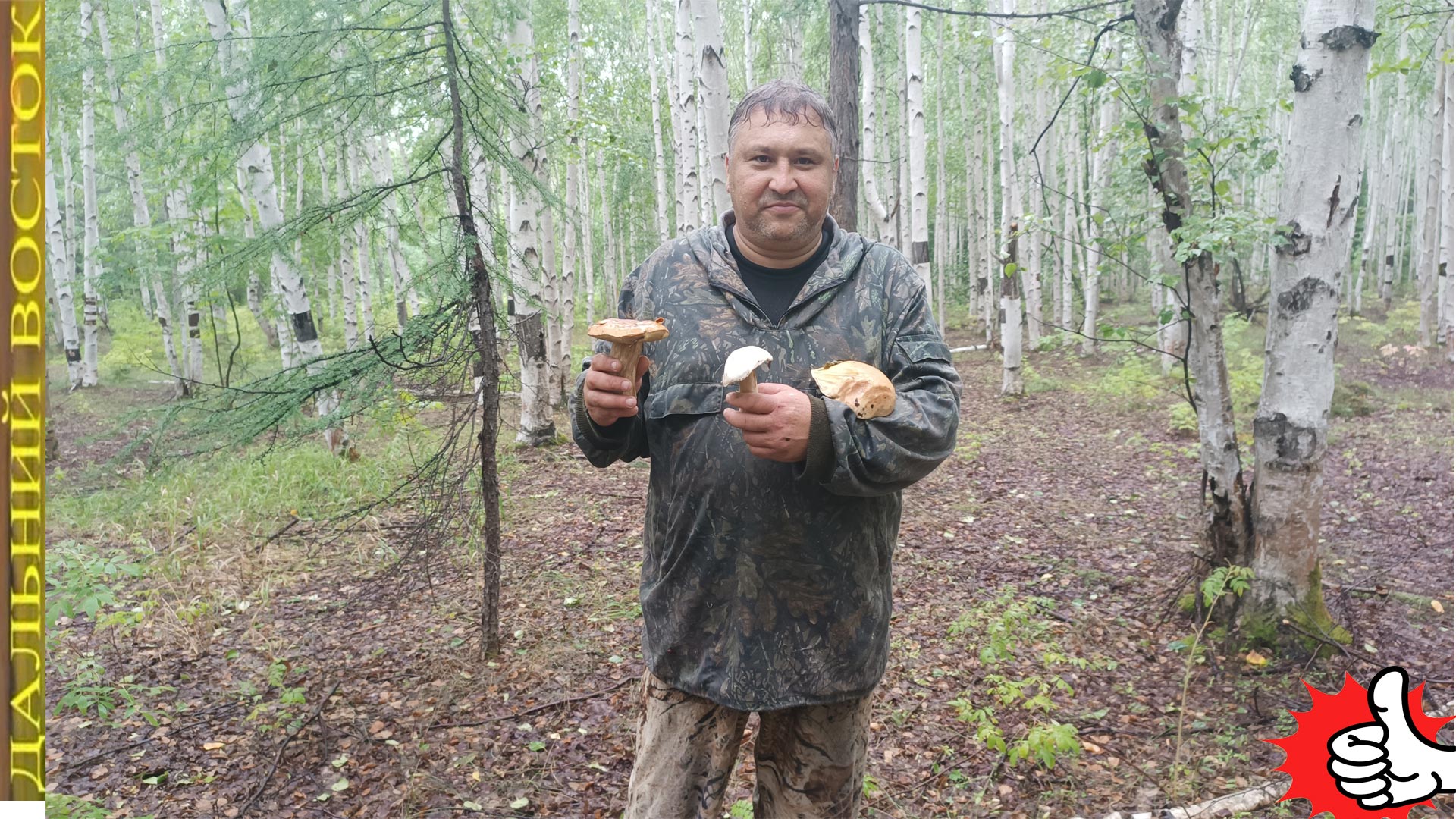 Грибные места. Прогулка по лесу..avi