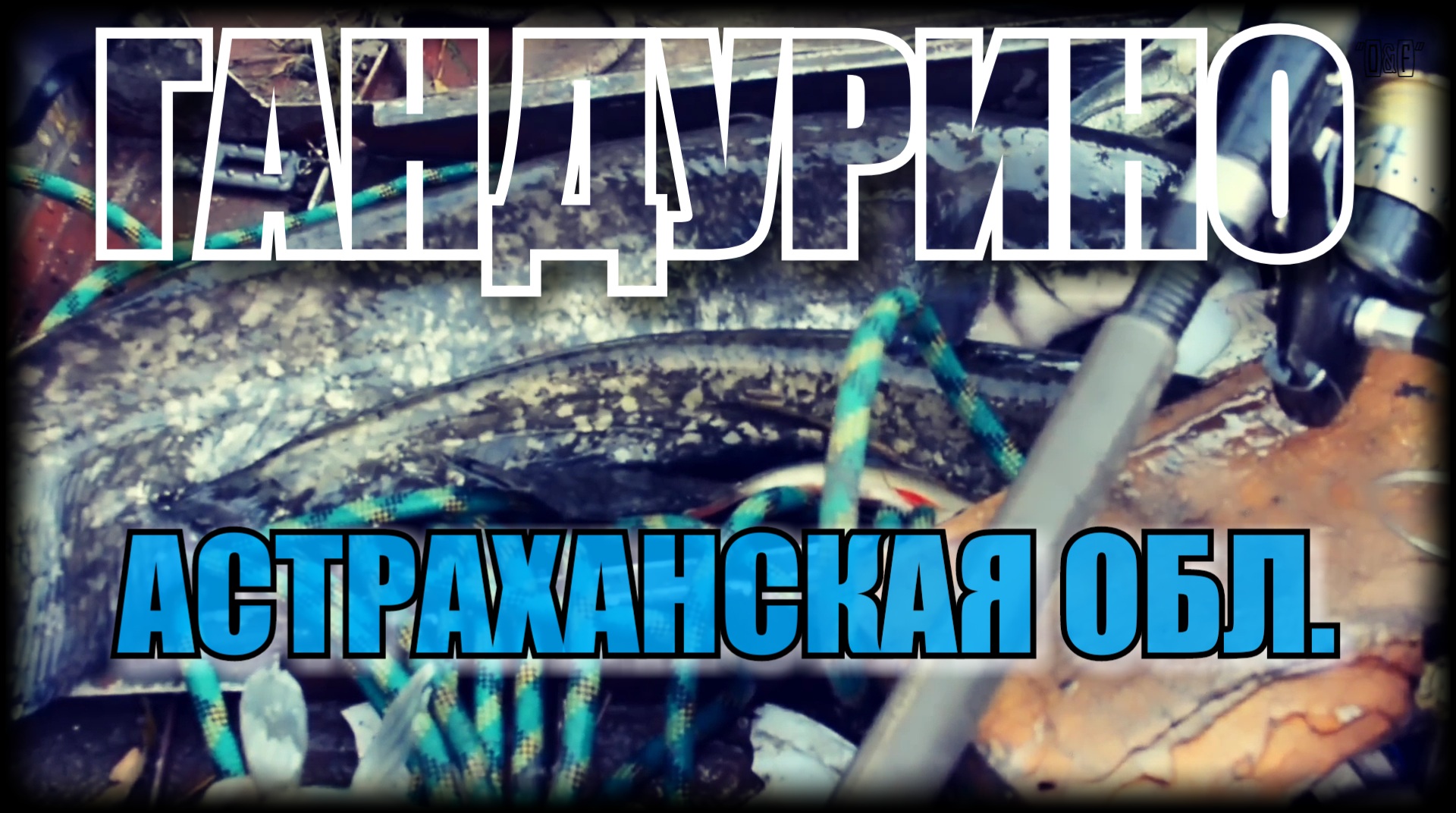 РЫБАЛКА В АСТРАХАНИ