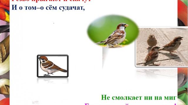 ВеДеДо. "Воробьи" (Коренблит - Слуцкий). Выпуск № 17