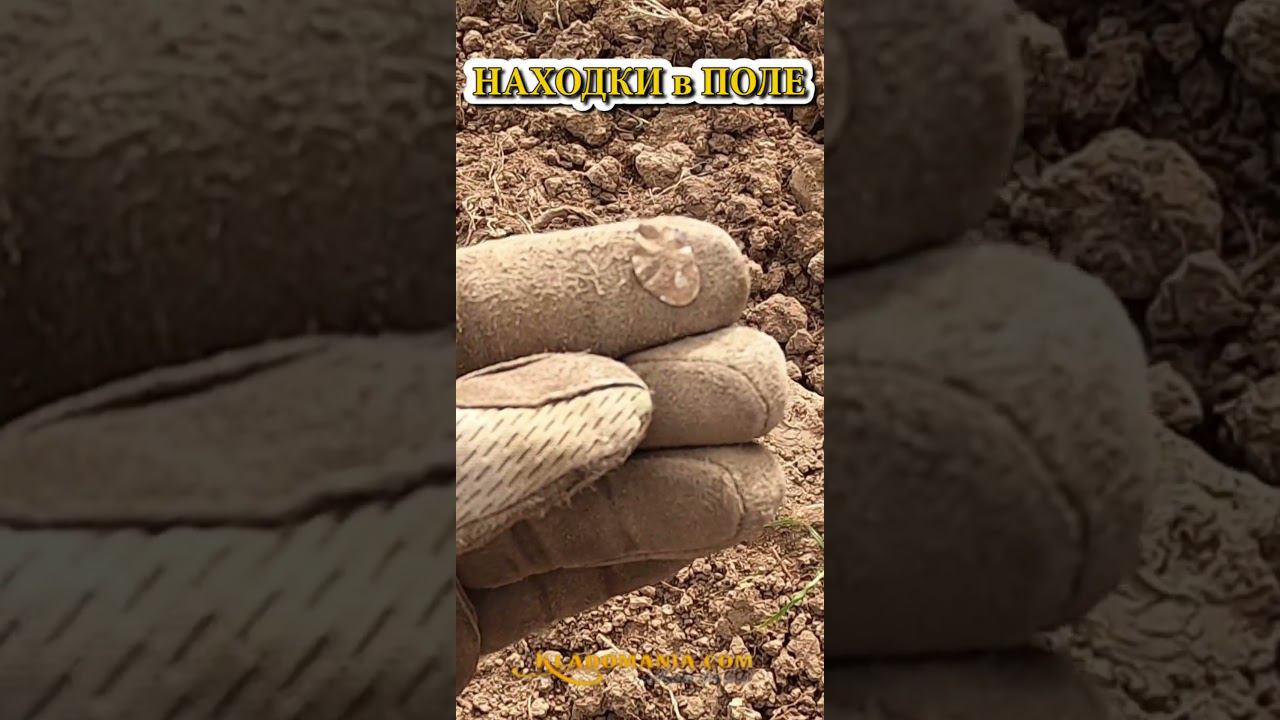 НАХОДКИ в ПОЛЕ. Находка в поле с металлоискателем. КЛАДОМАНИЯ. #shorts