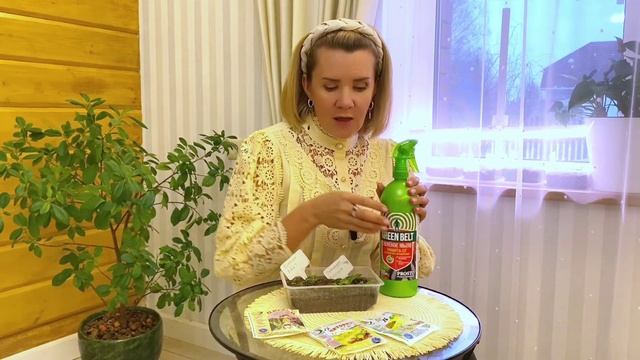 Чудо-коктейль для роста петуний