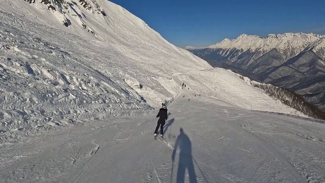 Альпика красная поляна 2022.