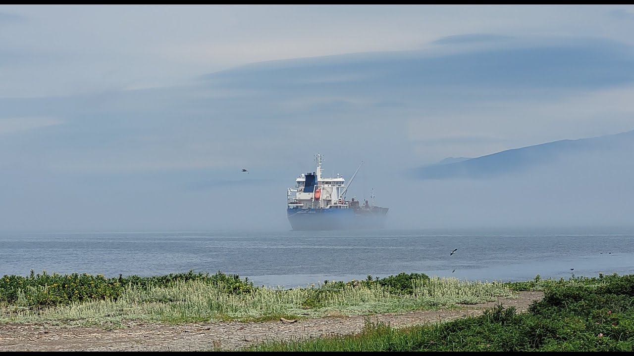 Итуруп 2023  Нерпы, чайки и корабль