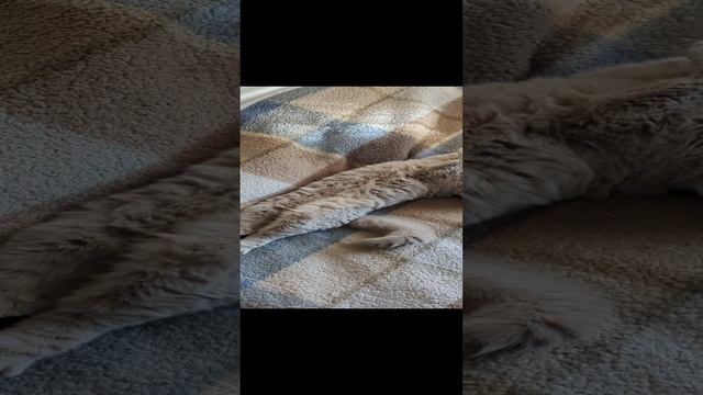 Вот тебе контент! ?