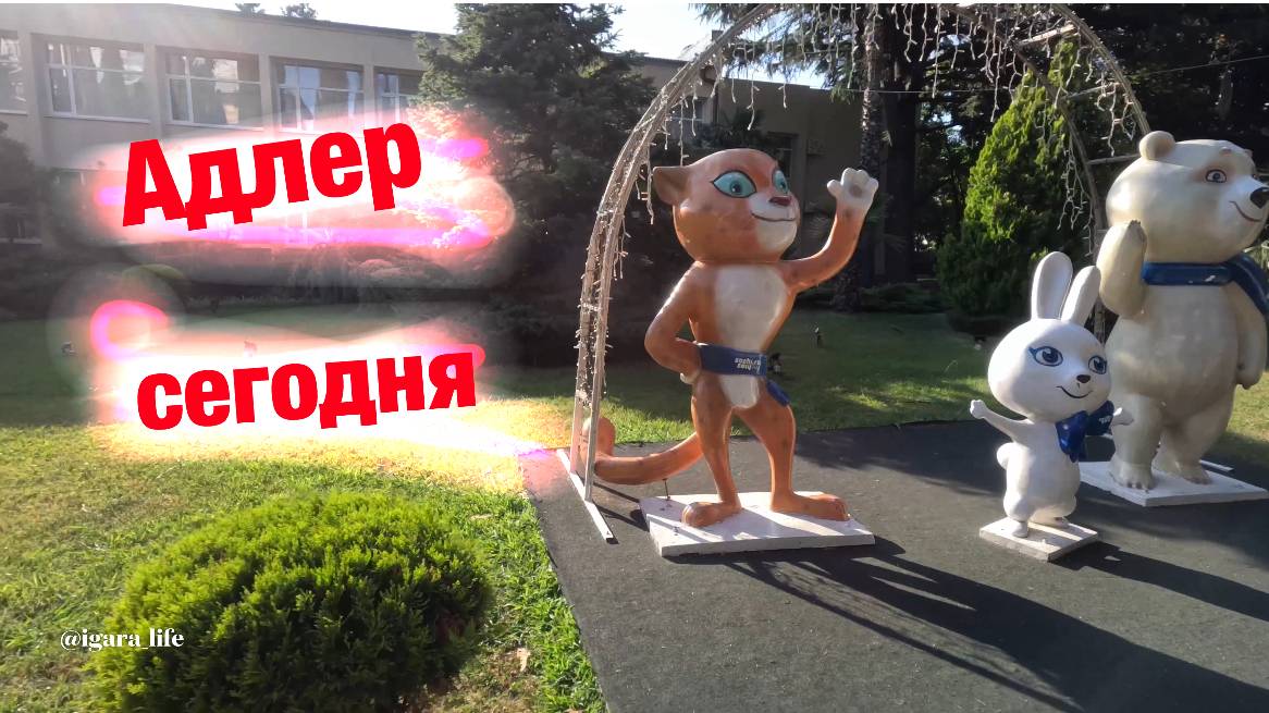 г  Адлер сегодня.