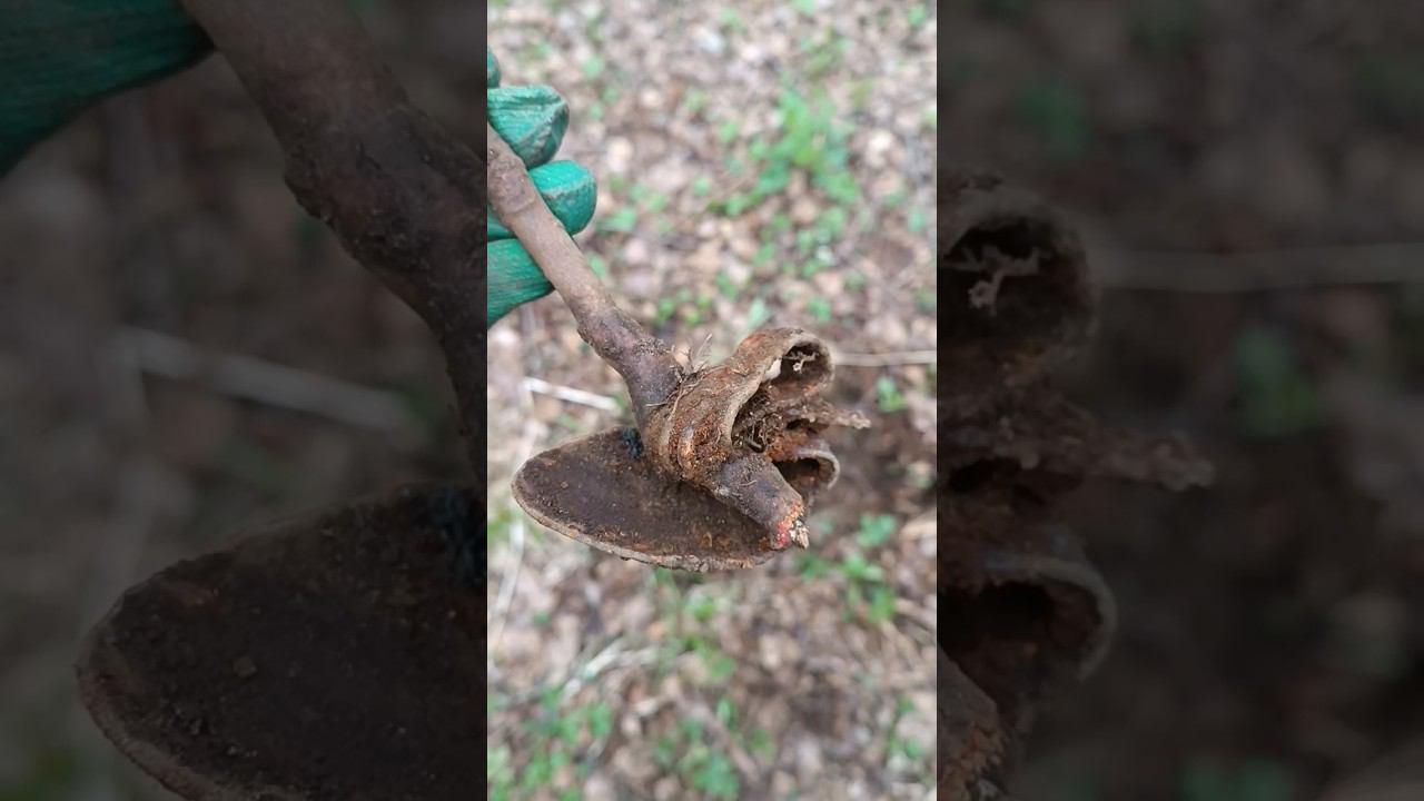 Война не пощадила даже немецкую ложку-вилку. Антураж! Коп по войне. #война #история #коп #shorts