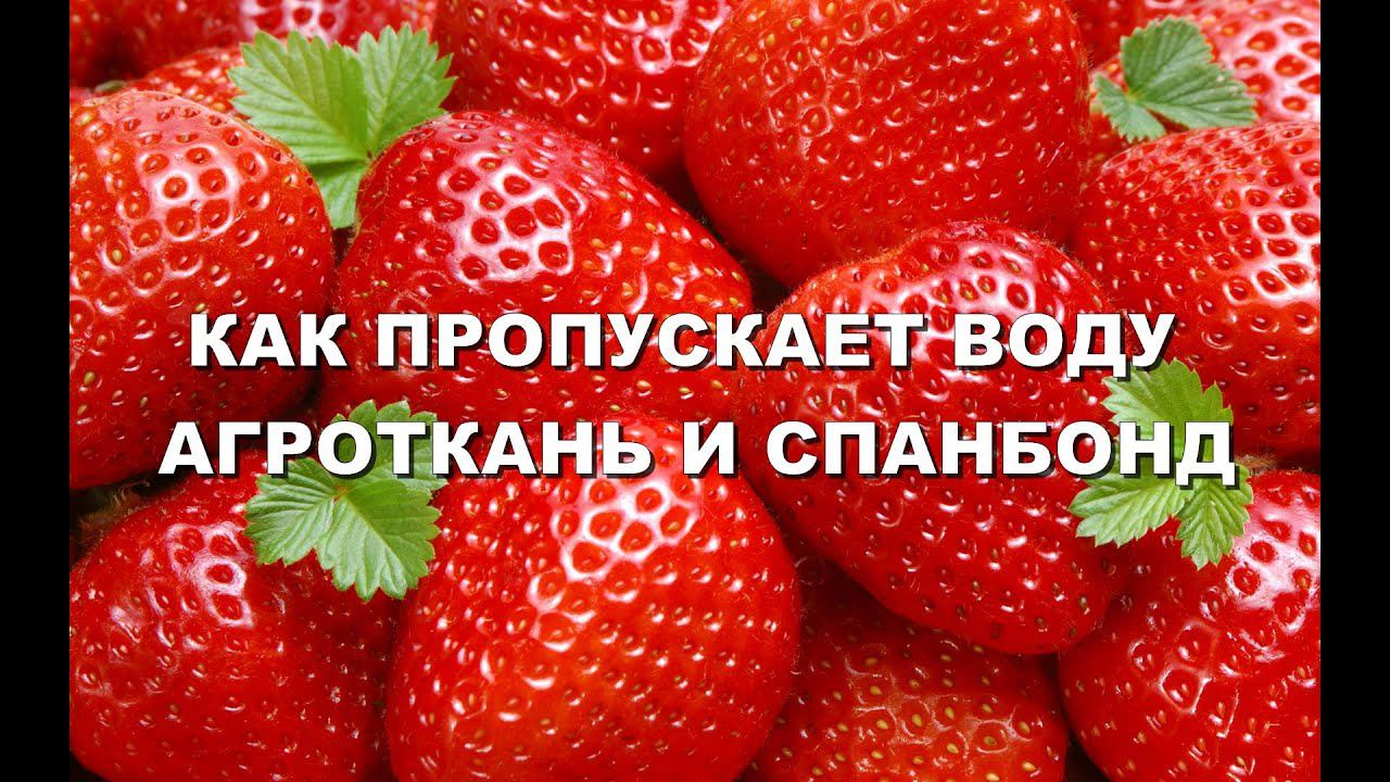 Как пропускает воду агроткань и спанбонд
