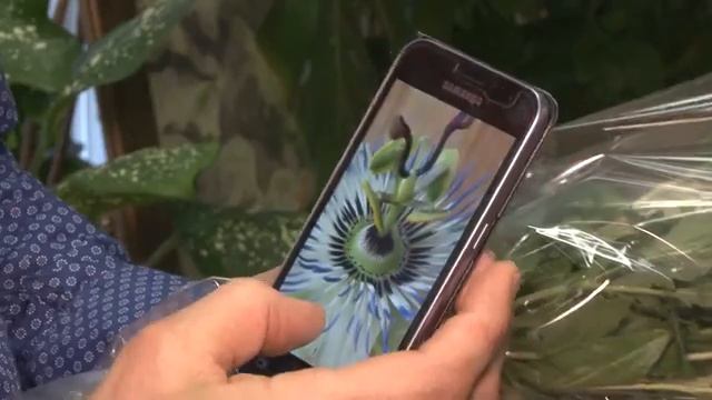 2017 07 26 - Выставка К.Буйко в Художественной галерее (Лобня).mp4