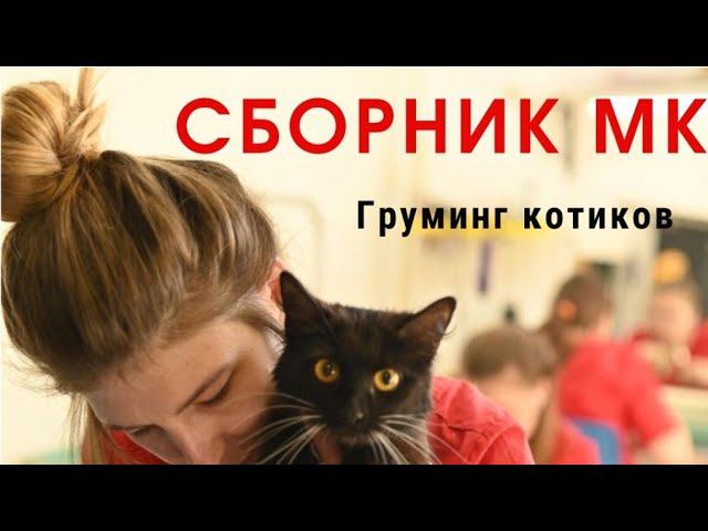 Сборник МК груминг Котиков. Отрывки.
