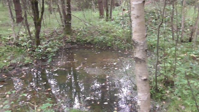 Москва 2023 1.Троицк