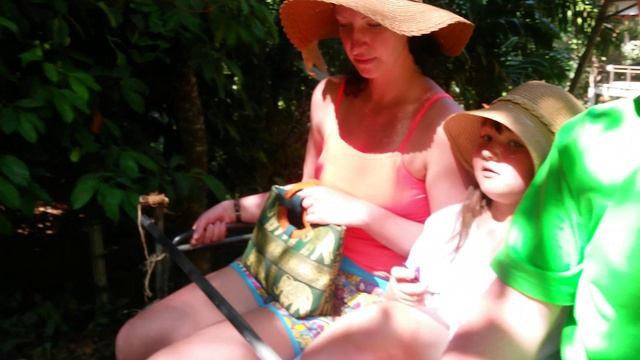 слоны в Тайланде