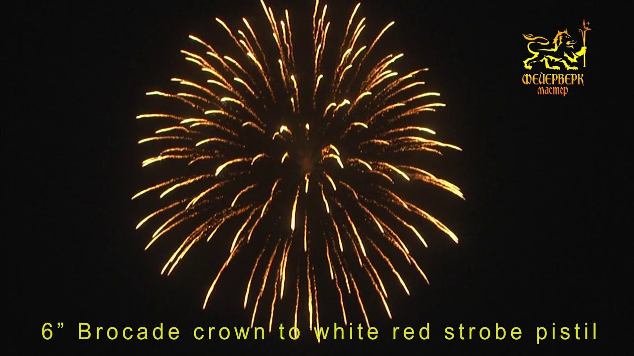 6" Brocade crown to with red strobe pistil