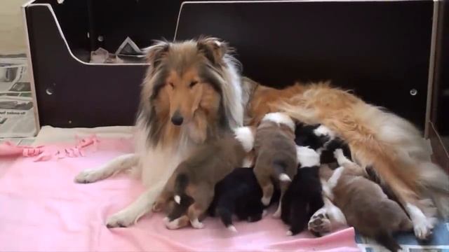 Без названия