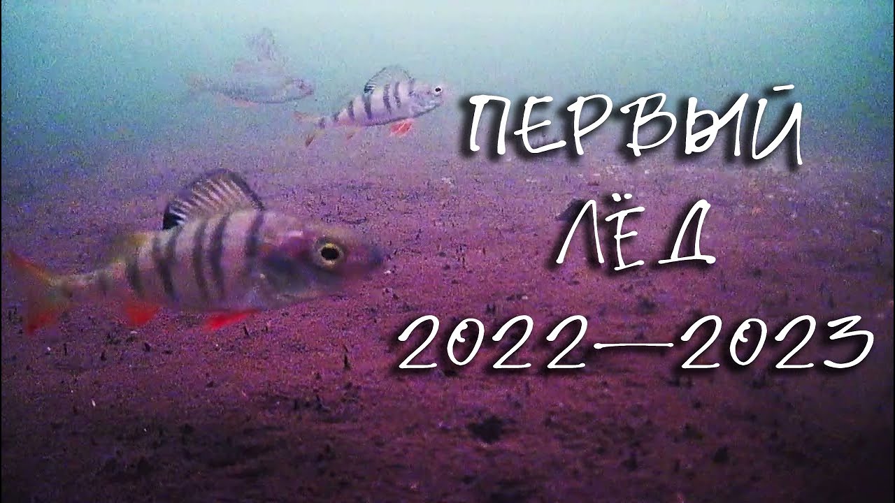 Открыл свой ПЕРВЫЙ ЛЁД 2022-2023. Подводная съёмка.