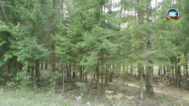 События 13 октября 2023 года / Всемирный день почты / Баня / День матери / Новости