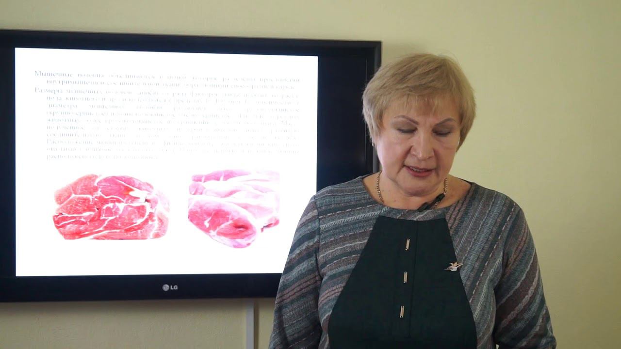 Владимцева Т.М. Химико-морфологический состав мяса