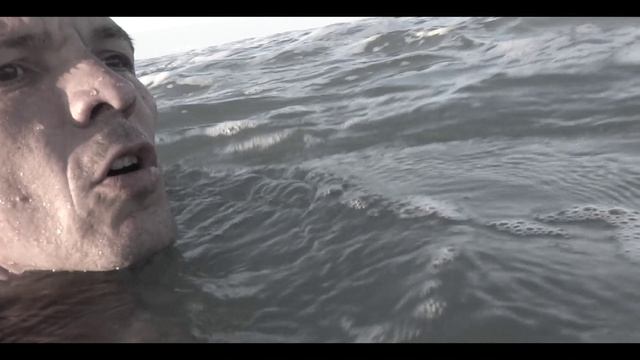 Город птиц.  start..mp4