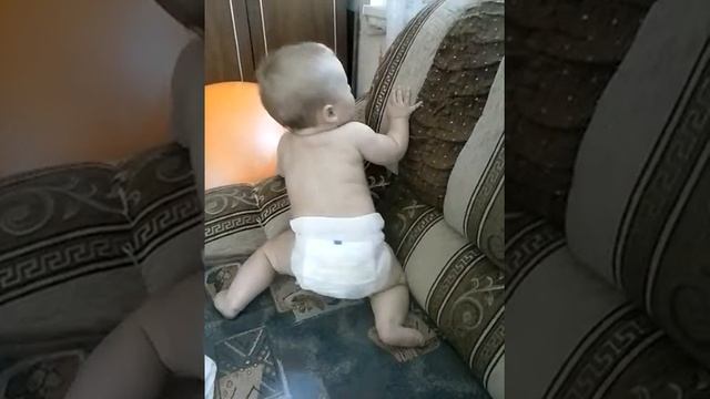 Алиса ползает по дивану