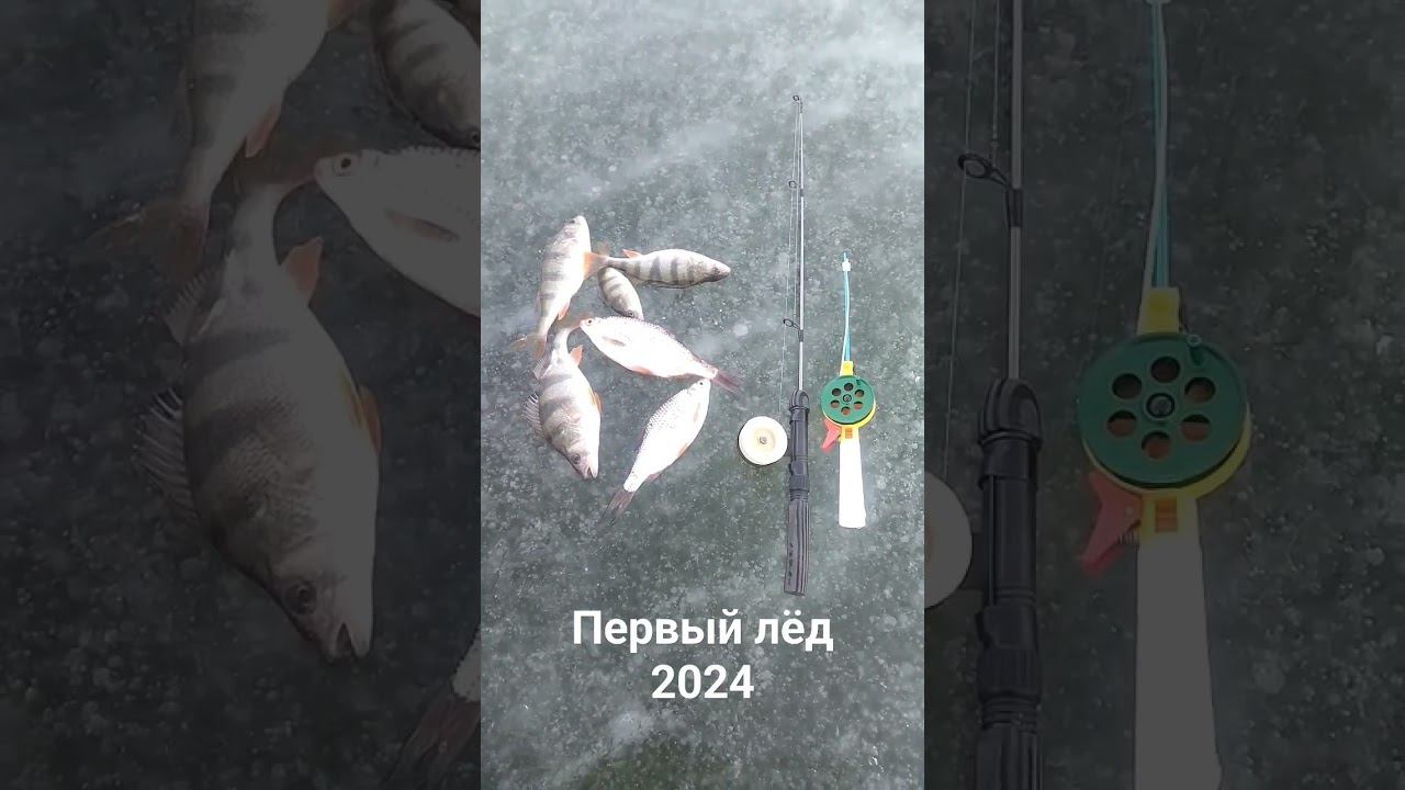 первый лëд 2024