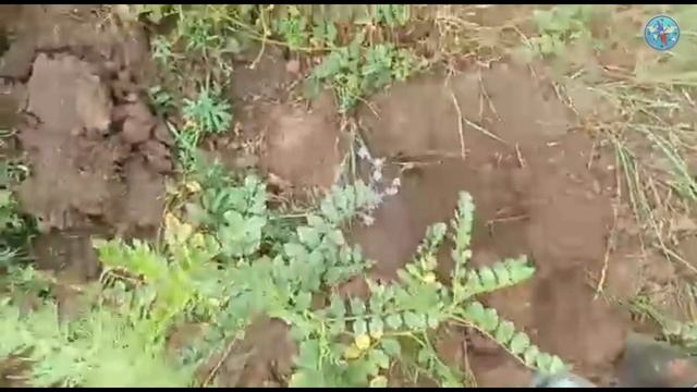 На металлокоп