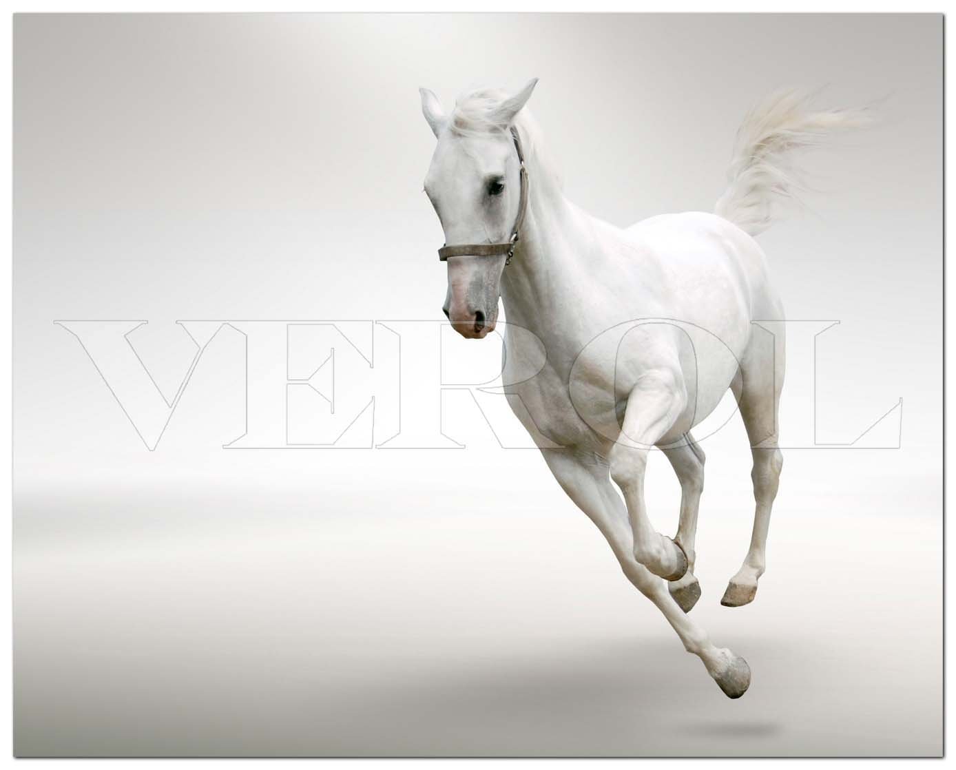 о белом цвете.mp4