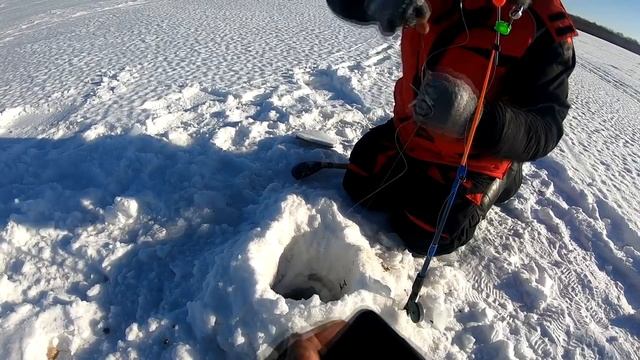 Первый налим и сразу ТРОФЕЙ. С днем мужика!.mp4