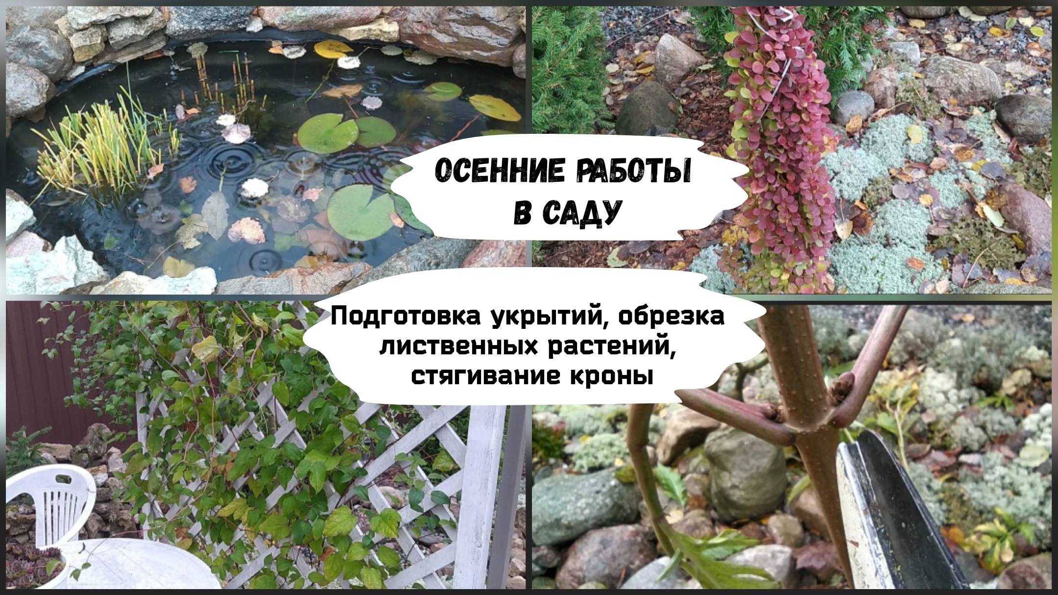 Осенние работы в саду.