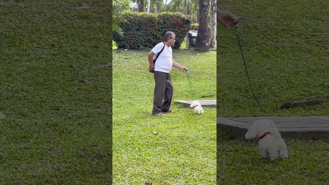 Девчачьи шалости