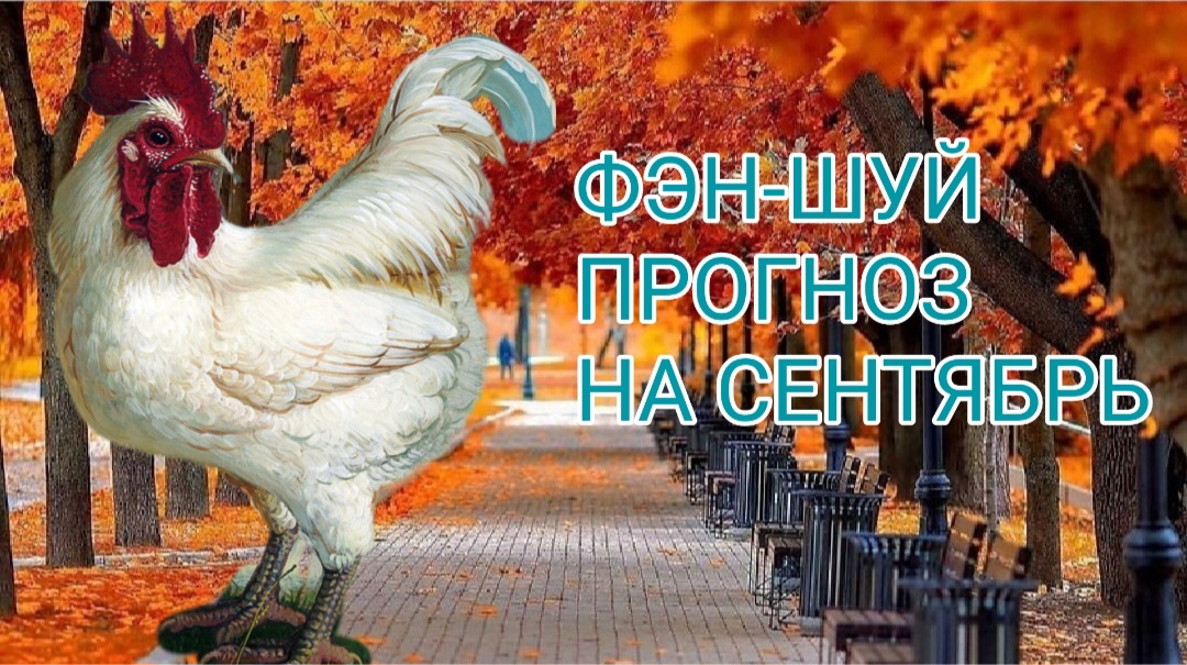 ФЭН-ШУЙ ПРОГНОЗ НА СЕНТЯБРЬ?МЕСЯЦ МЕТАЛЛИЧЕСКОГО ПЕТУХА#9