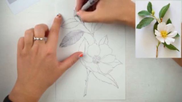 Курс Графика - урок 3