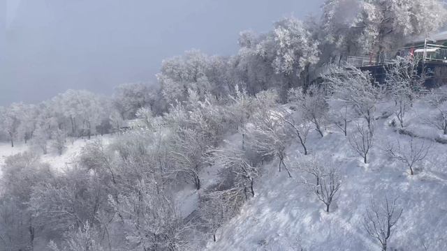 Зимняя сказка в парке Кок-Тобе