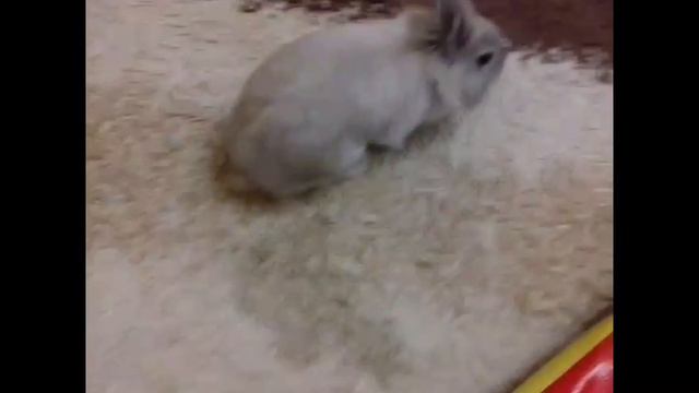 Лула и Джесси (Официальный клип)