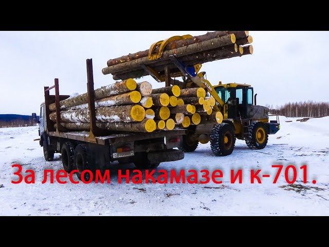 К 701 и камаз за лесом в тайгу.