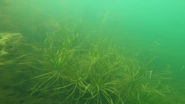 погружение в озеро